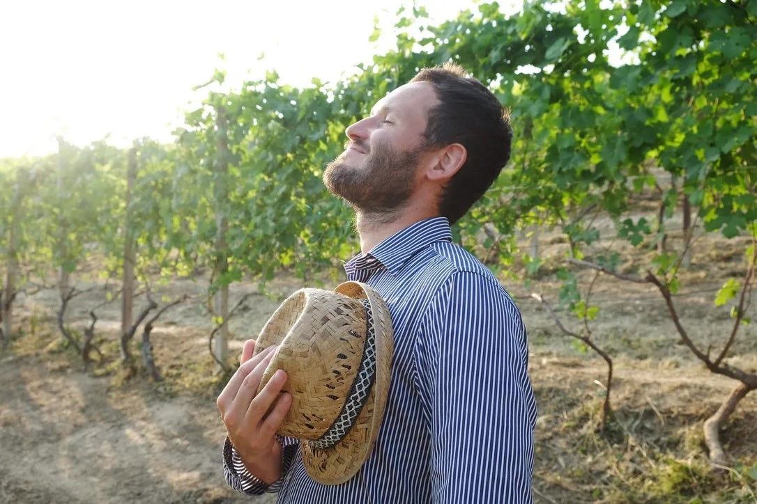 Stefano Occhetti - Piemonte – Ealing Wine Cellars