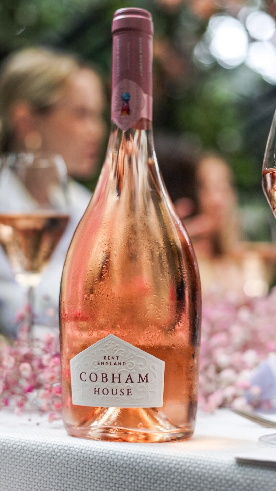 Summer Sippers – Ealing Wine Cellars