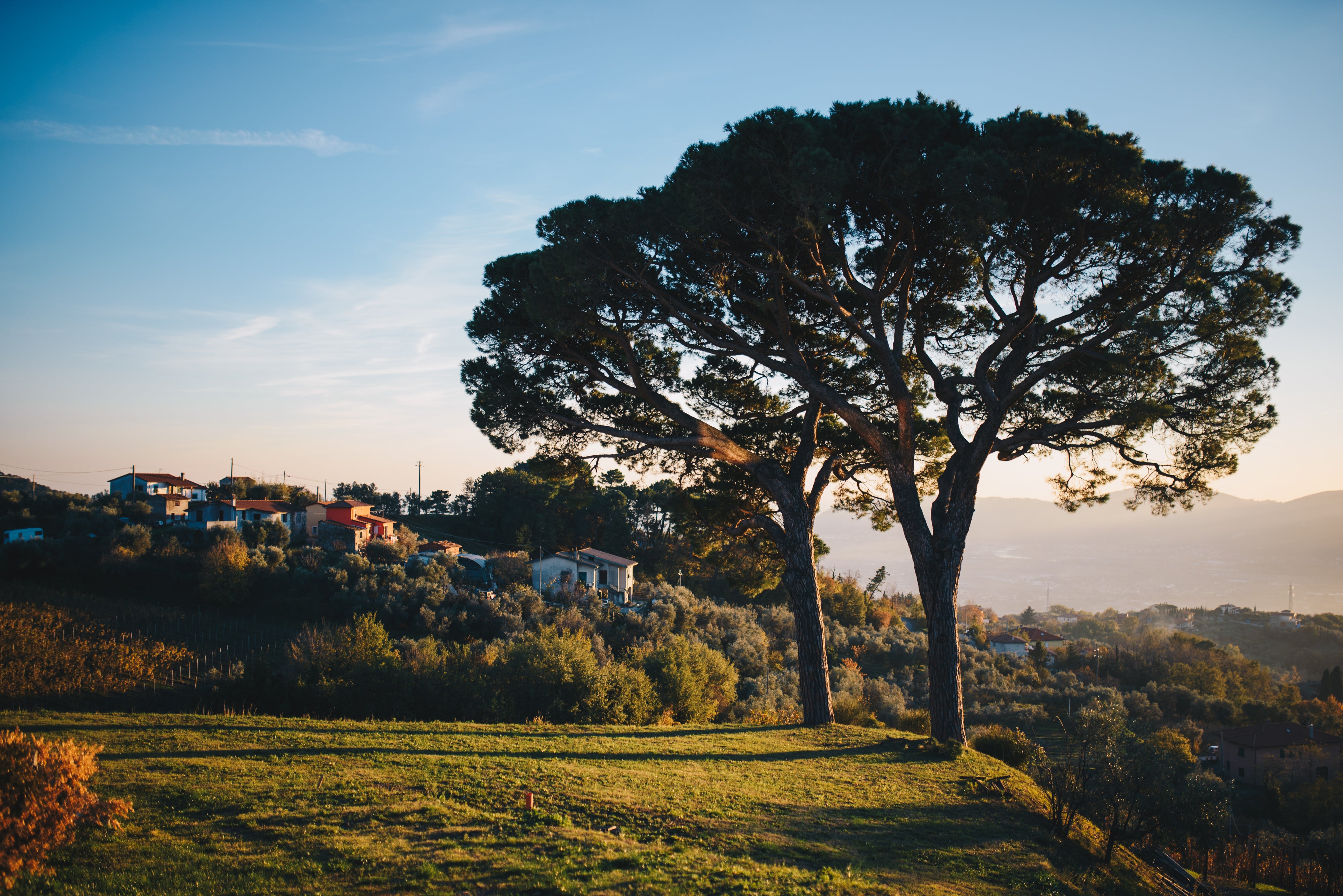 Terenzuola - Liguria | Tuscany – Ealing Wine Cellars