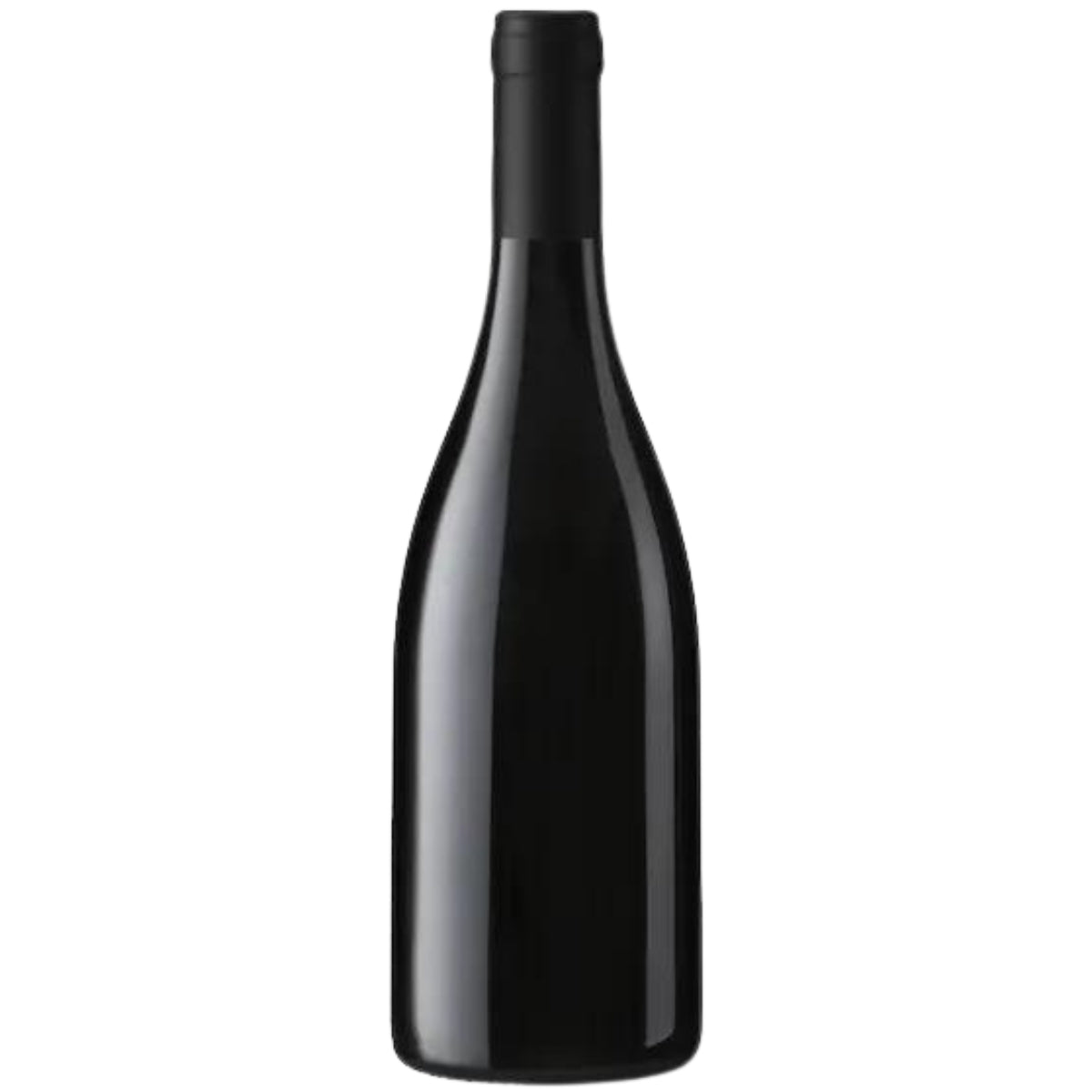 Red wine, France, Burgundy, Pinot Noir, 2022 Bourgogne Rouge, Burgundy ...